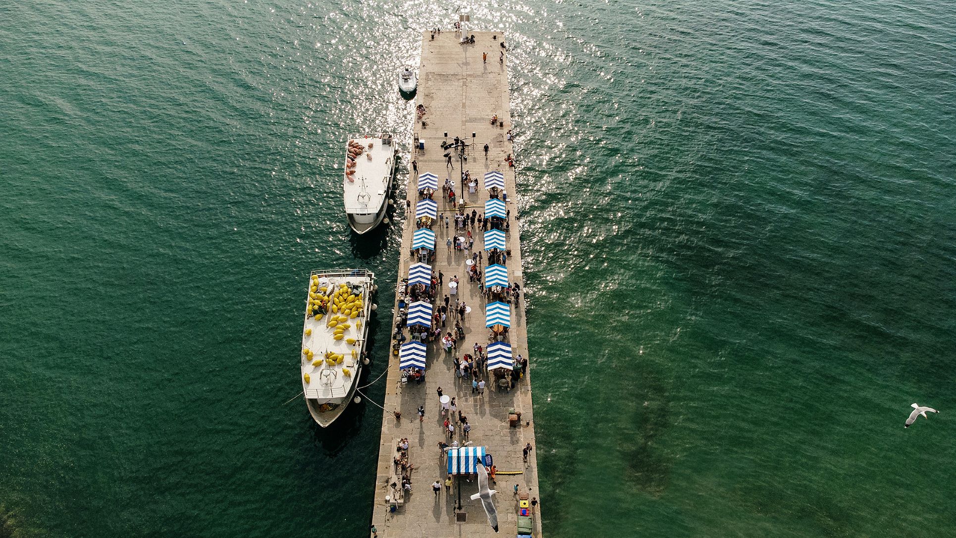 Pred vrati so Dnevi kraljice sardele - OBALAplus